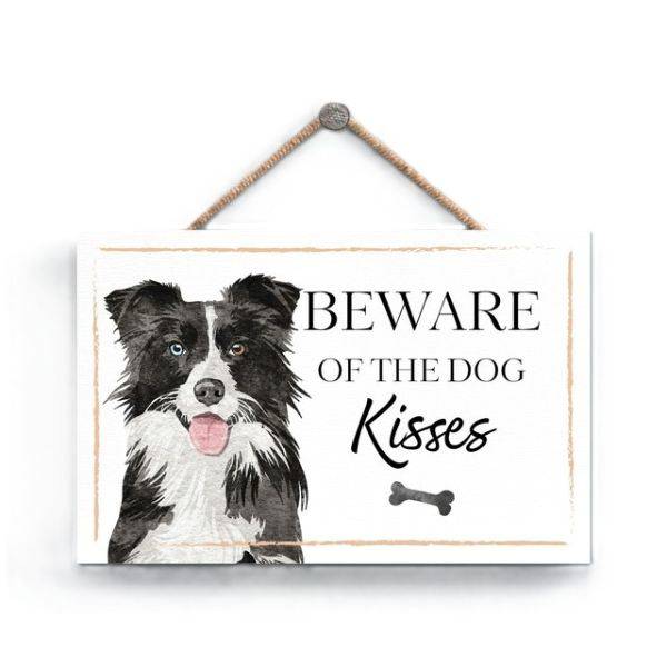 Border Collie Trust GB