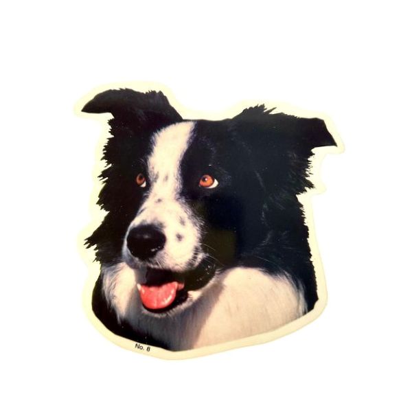 Border Collie Trust GB