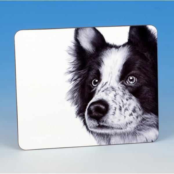 Border Collie Trust GB