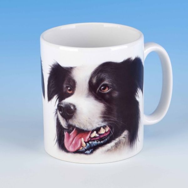 Border Collie Trust GB