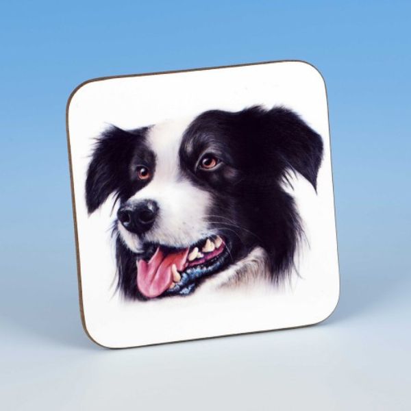 Border Collie Trust GB