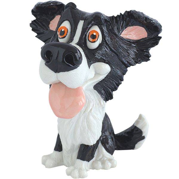 Border Collie Trust GB