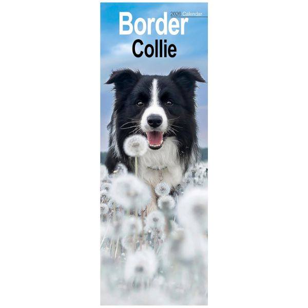 Border Collie Trust GB