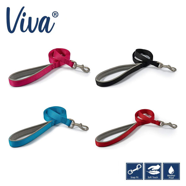 Leads & Harnesses