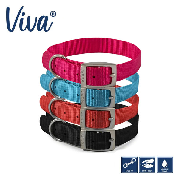 Leads & Harnesses