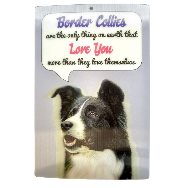 Border Collie 3D Pastel Hang Up Sign