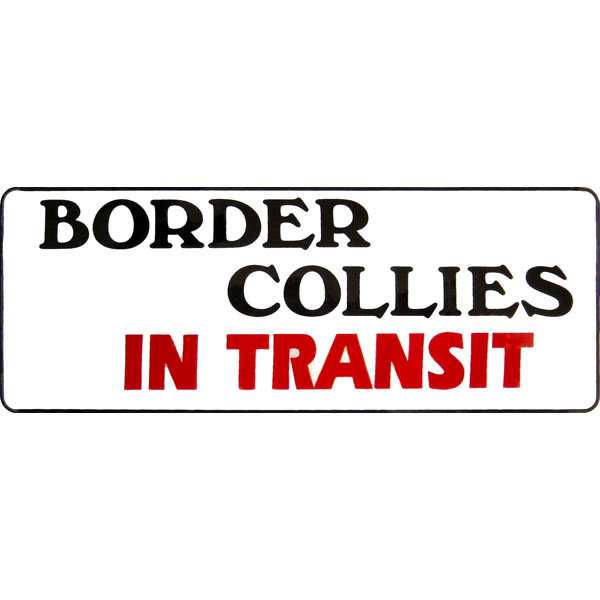 "Border Collies In Transit" Sticker